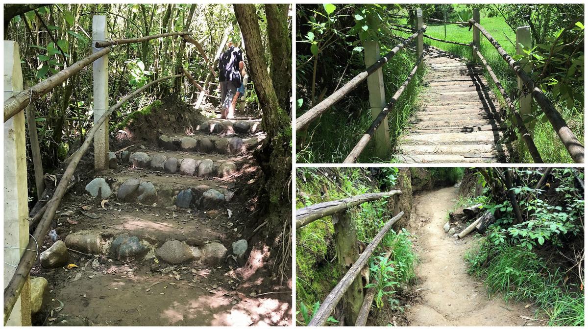 Cuenca Zoo, Rare and Surprising Animal Haven in Ecuador