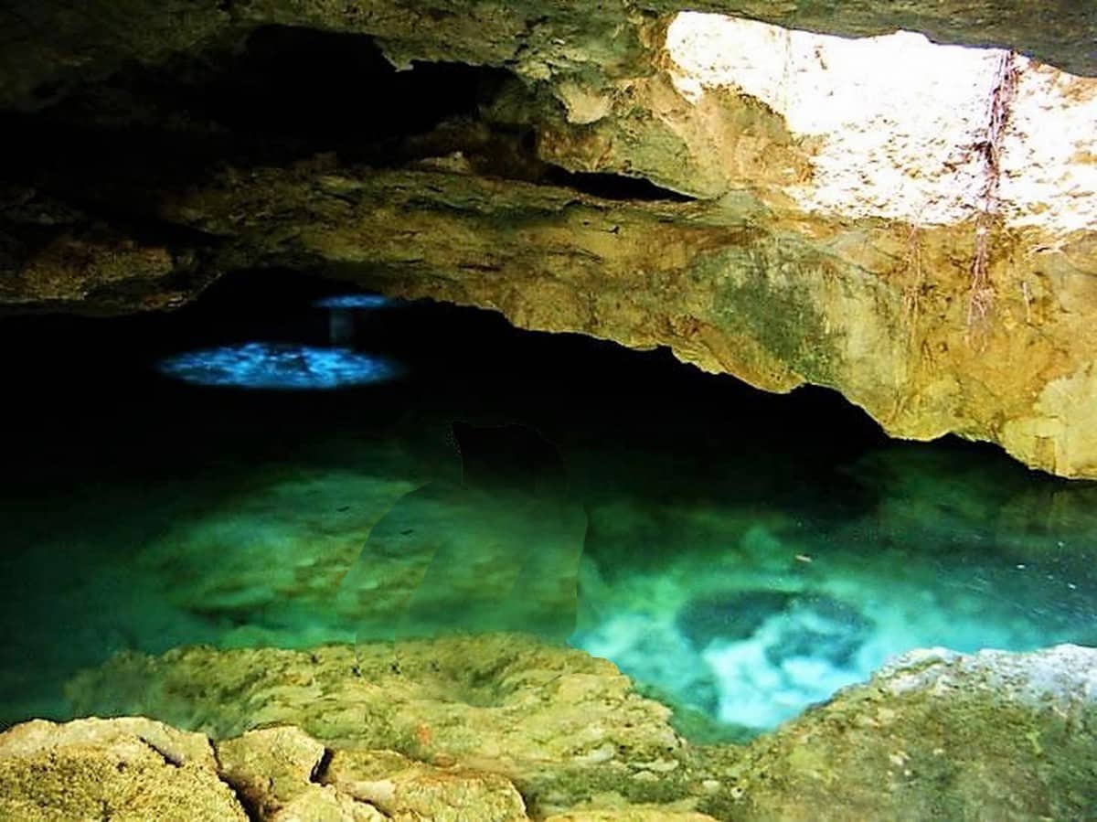 Swim the Beautiful Cenotes of Playa Del Carmen Mexico