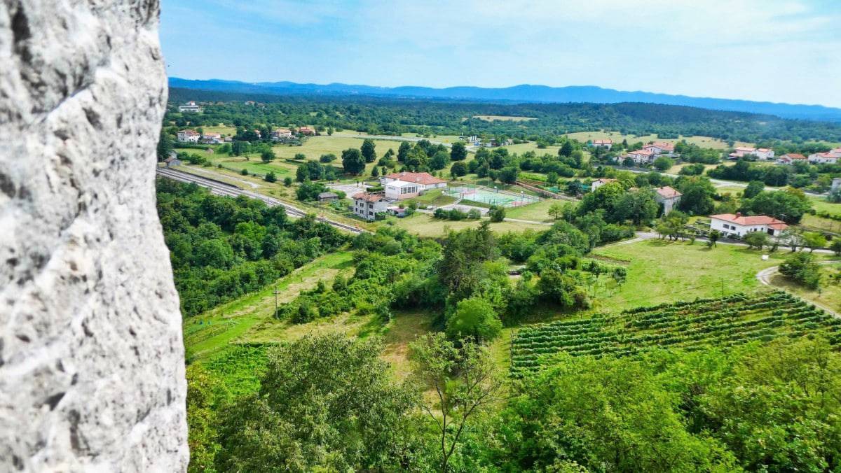 Enjoy Amazing Wines in the Beautiful Karst Slovenia Region