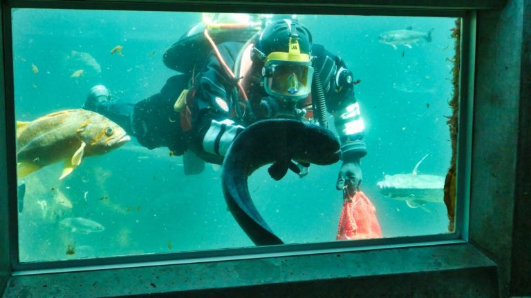 Discover all that Makes Seattle Amazing in Just Two Days