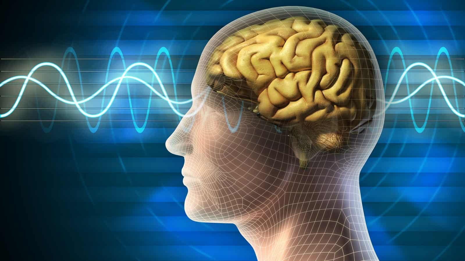 7 Fun Brain Training Ideas To Enrich Your Retirement