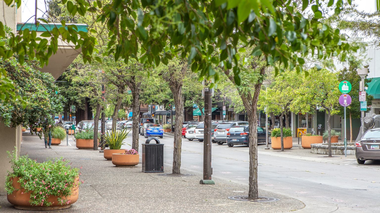 Discover and Enjoy all That is the Best of Santa Rosa Wine