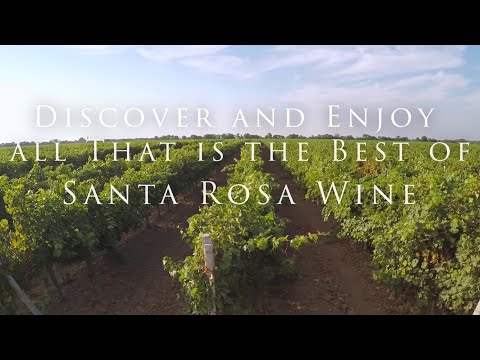 Discover and Enjoy all That is the Best of Santa Rosa Wine