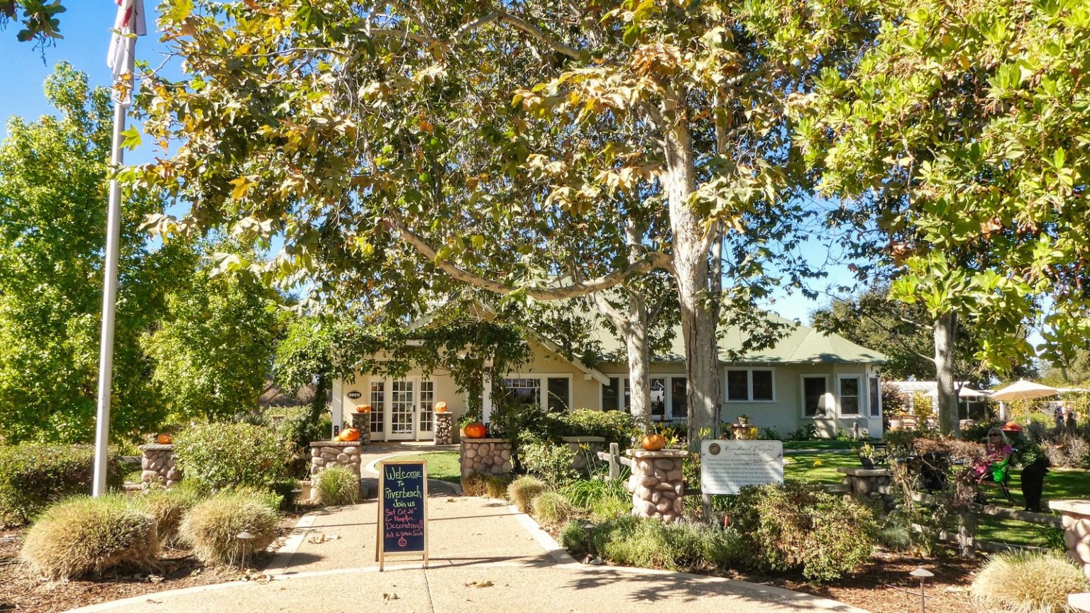 Explore 5 Fantastic Santa Maria Wineries for the First Time