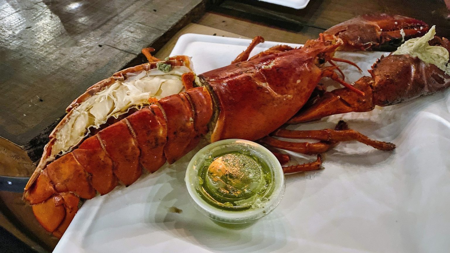 An Amazing Temecula Wine Weekend You will Love